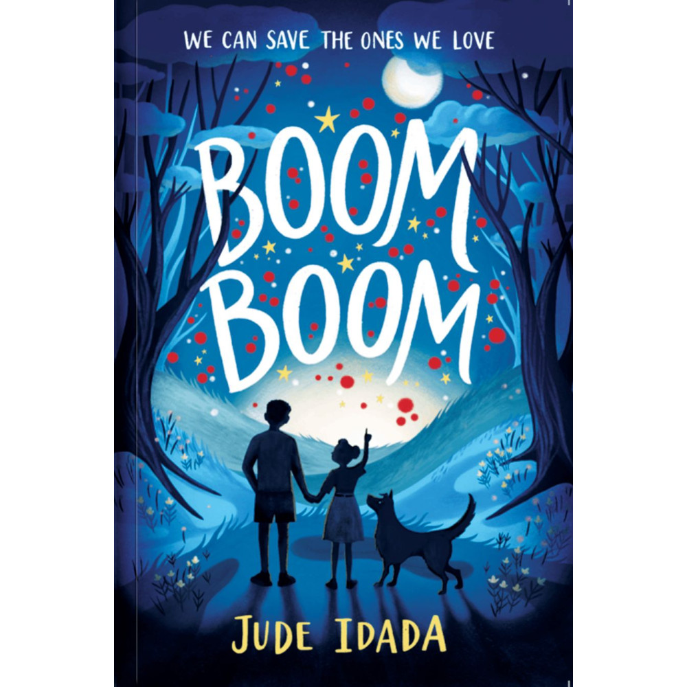 Boom Boom Novel By Jude Idada